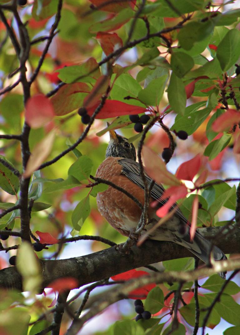 People will proclaim it’s beautiful and – Hazel J. Hall