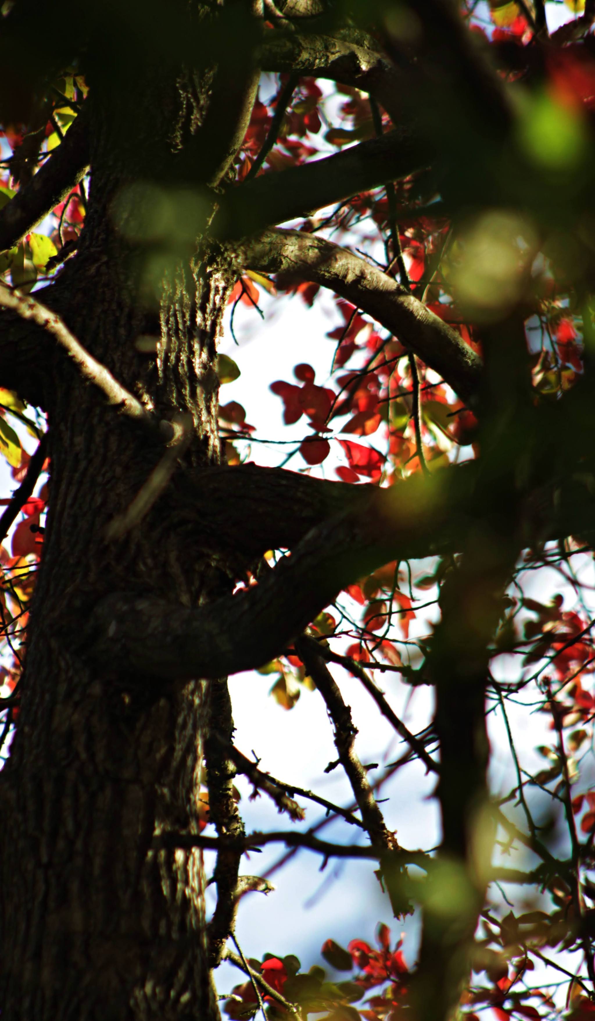 People will proclaim it’s beautiful and – Hazel J. Hall